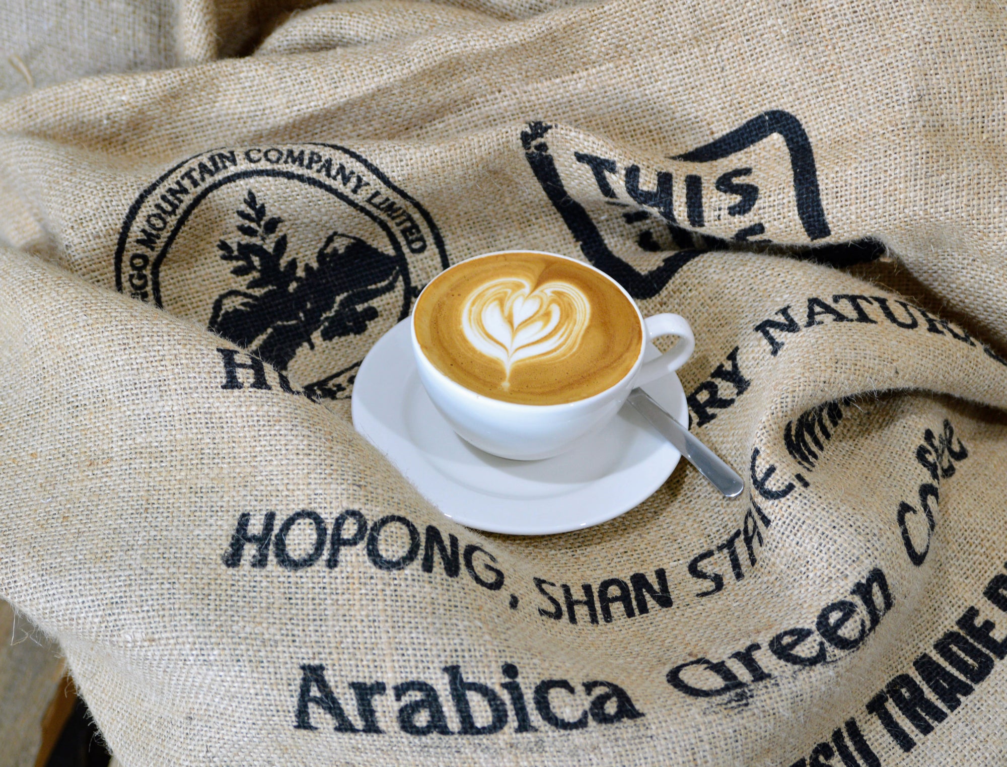 Pacamara Coffee Roasters - Specialty Coffee | Single Origin