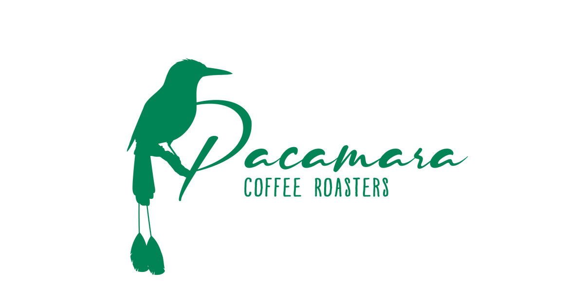 Pacamara Coffee Roasters | Specialty Coffee